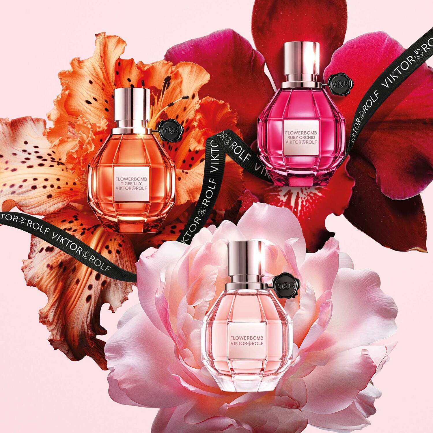 Flowerbomb Tiger Lily - Eau de Parfum Florale Ambrée Pour Elle de VIKTOR & ROLF ≡ SEPHORA