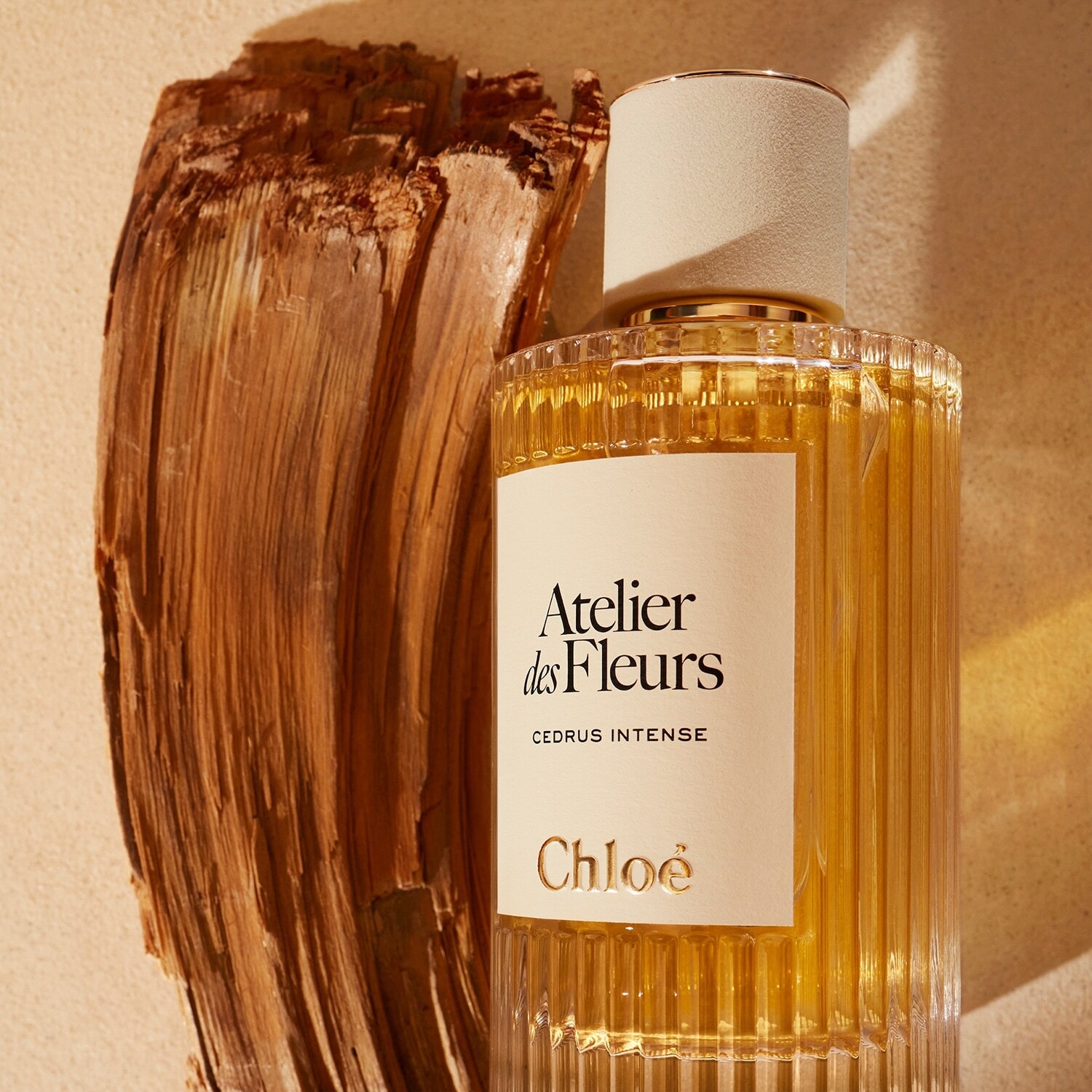Atelier des Fleurs Cedrus Intense - Eau de Parfum de CHLOÉ ≡ SEPHORA