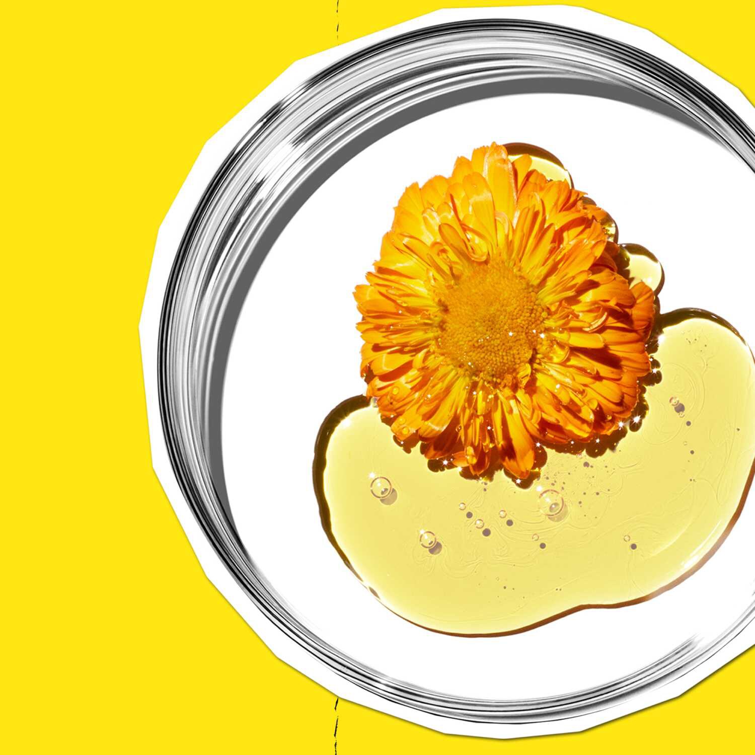 Calendula - Édition Limitée Tonique sans alcool au Calendula de KIEHL'S SINCE 1851 ≡ SEPHORA