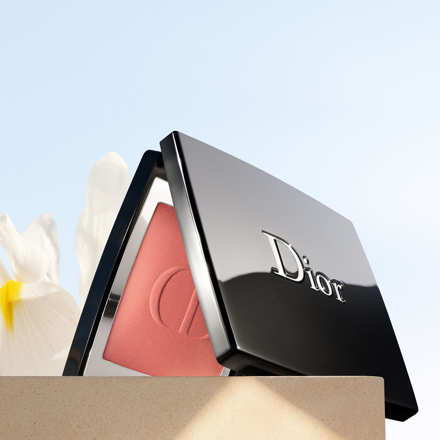 Rouge Blush - Fard à joues et pommettes - Haute pigmentation - Longue ...