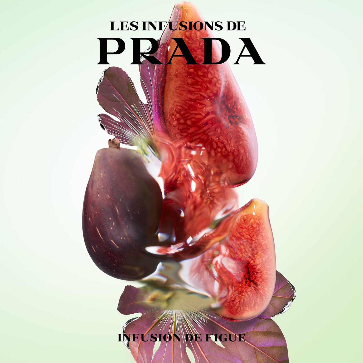 Les Infusions de Prada - Infusion de Figue - Eau de Parfum de PRADA ≡ ...