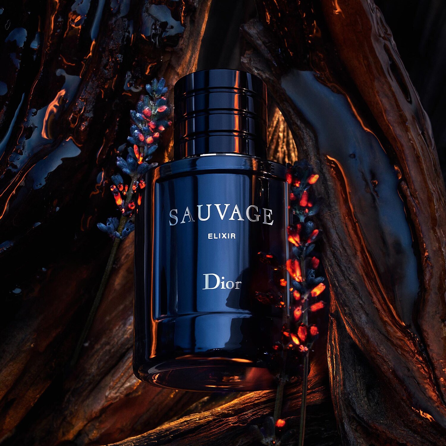 Sauvage Elixir - Parfum pour homme - Notes agrumes, épices & bois de ...