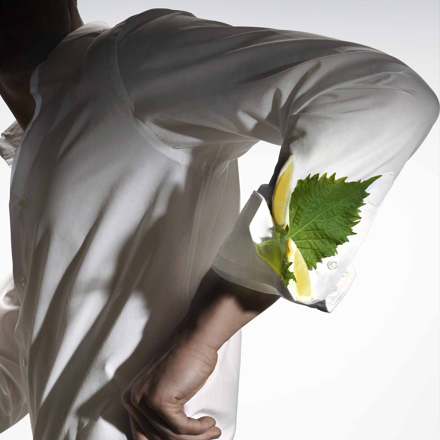 Boss The Collection Vigorous Cologne - Eau de Parfum de HUGO BOSS ≡ SEPHORA