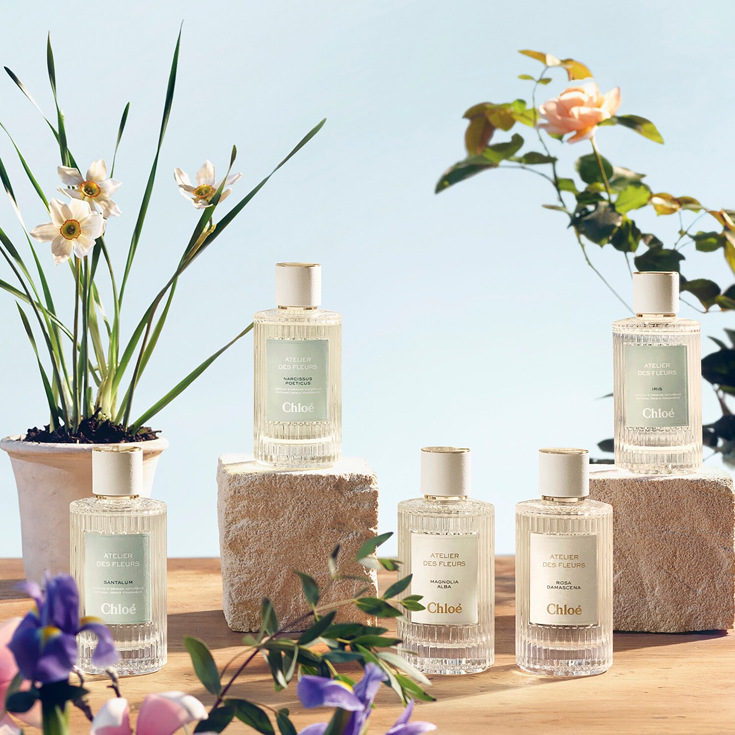 Atelier des Fleurs Santalum - Eau de Parfum de CHLOÉ ≡ SEPHORA