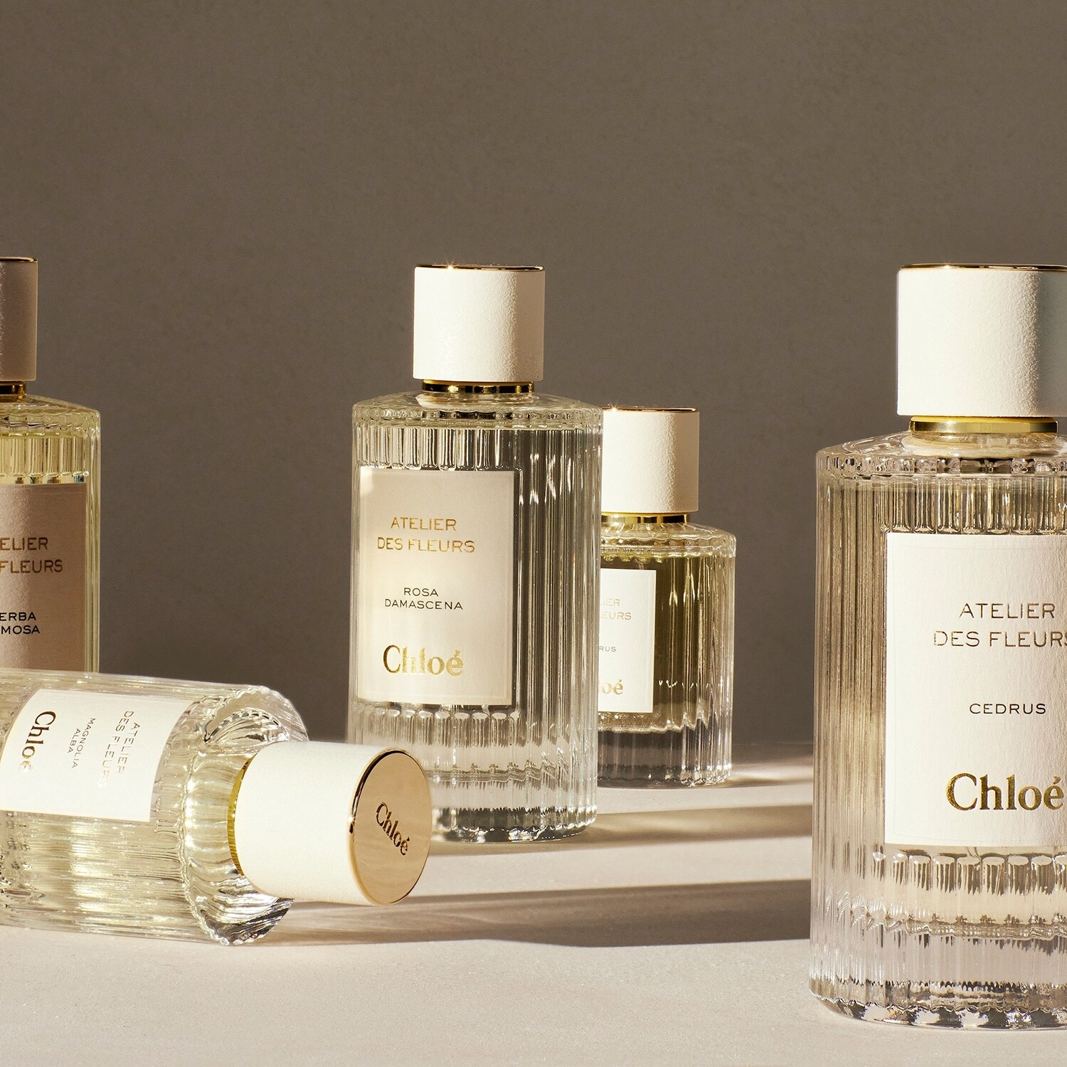 Chloé Atelier des Fleurs Violette - Eau de Parfum de CHLOÉ ≡ SEPHORA