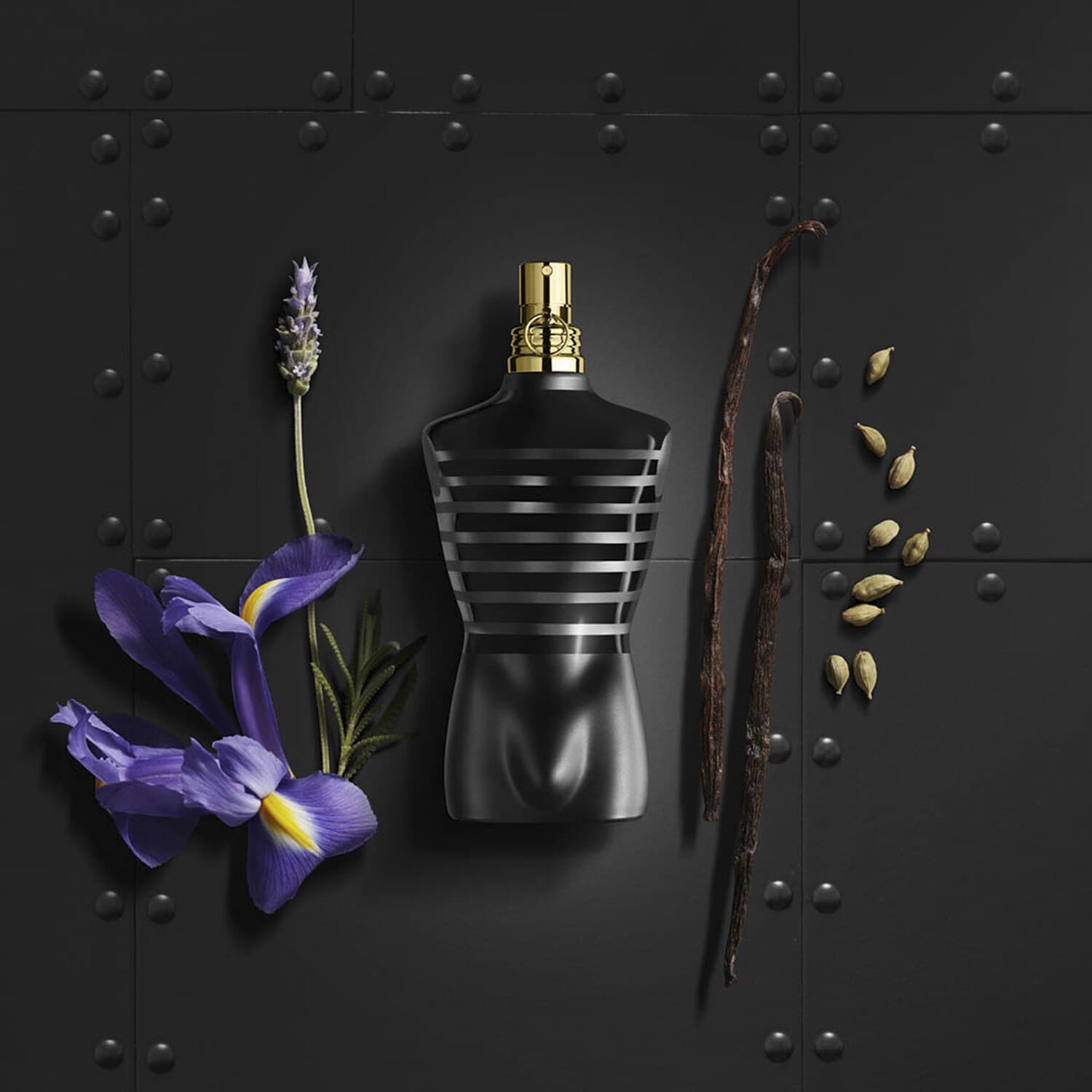 Le Male Le Parfum - Eau de Parfum de JEAN PAUL GAULTIER ≡ SEPHORA