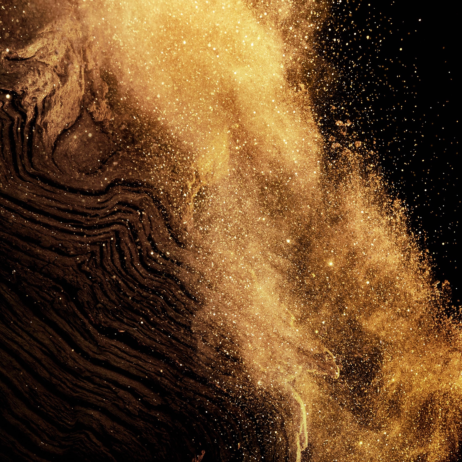 Absolus Allegoria - Epices Exquises - Eau de Parfum de GUERLAIN ≡ SEPHORA