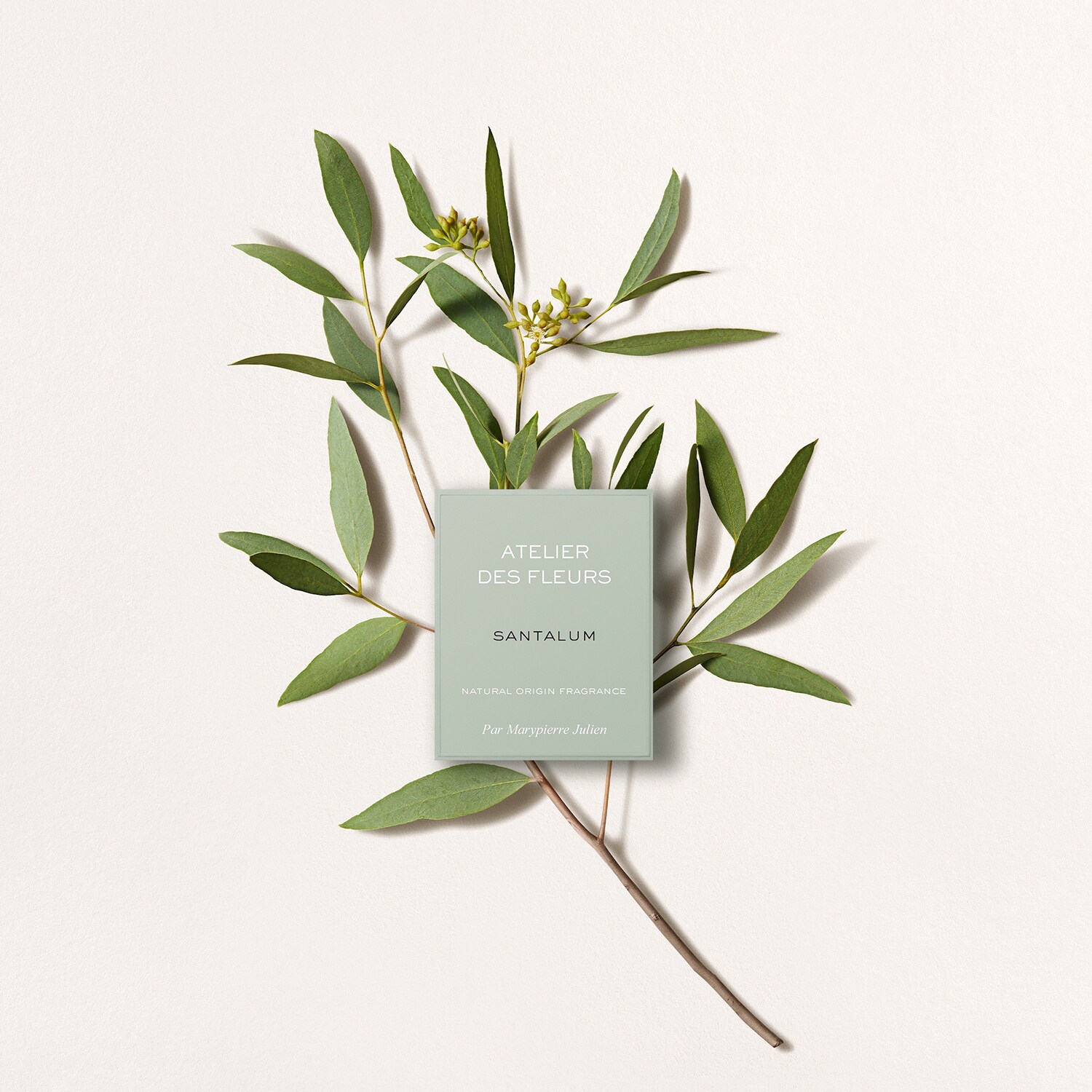 Atelier des Fleurs Santalum - Eau de Parfum de CHLOÉ ≡ SEPHORA