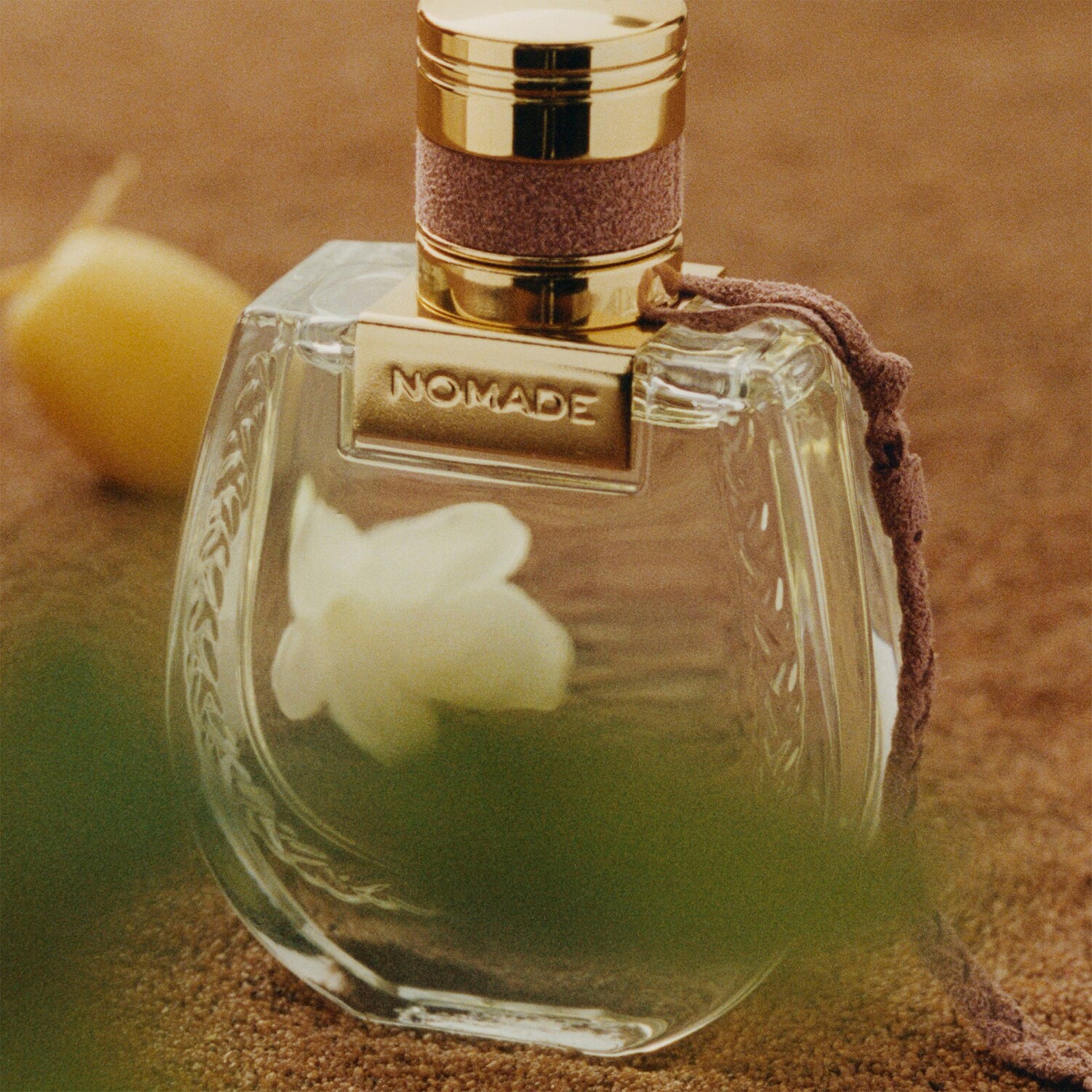 Chloé Nomade Jasmin Naturel Intense - Eau de Parfum Intense de CHLOÉ ≡ ...