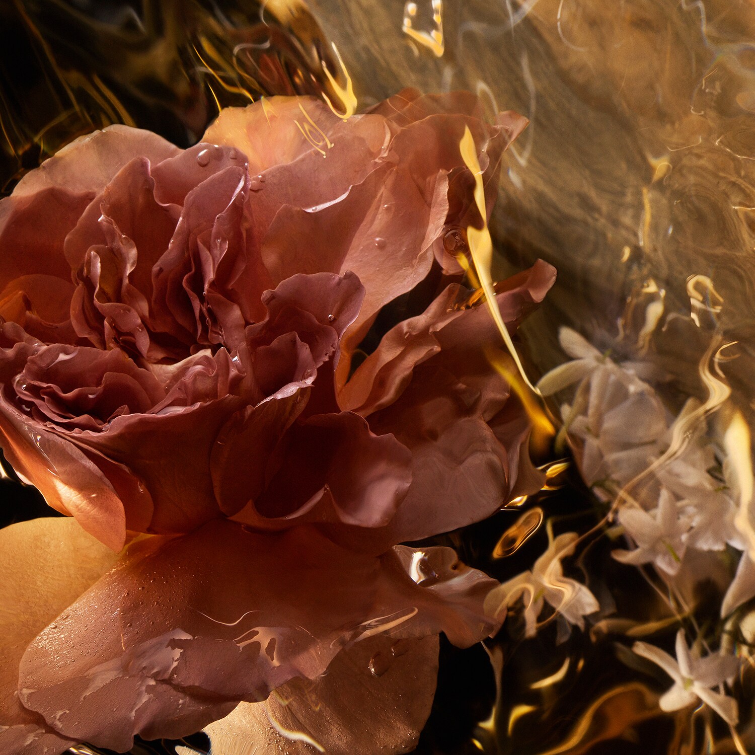 Absolus Allegoria - Santal Royal - Eau de Parfum de GUERLAIN ≡ SEPHORA