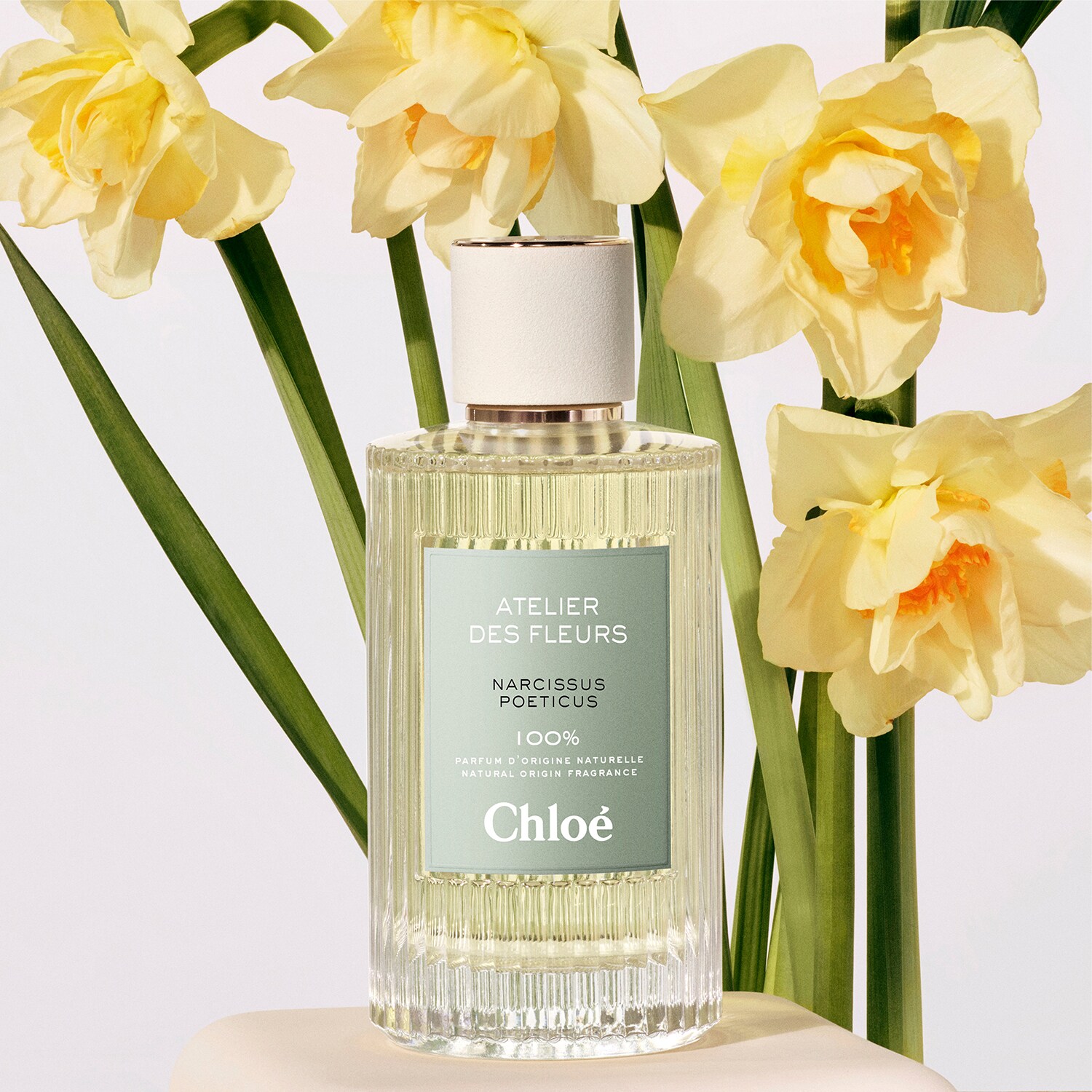 Atelier des Fleurs Narcissus Poeticus - Eau de Parfum de CHLOÉ ≡ SEPHORA