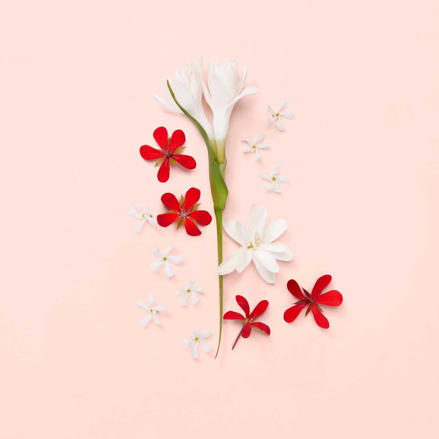 Gucci Bloom - Eau de Toilette de GUCCI ≡ SEPHORA