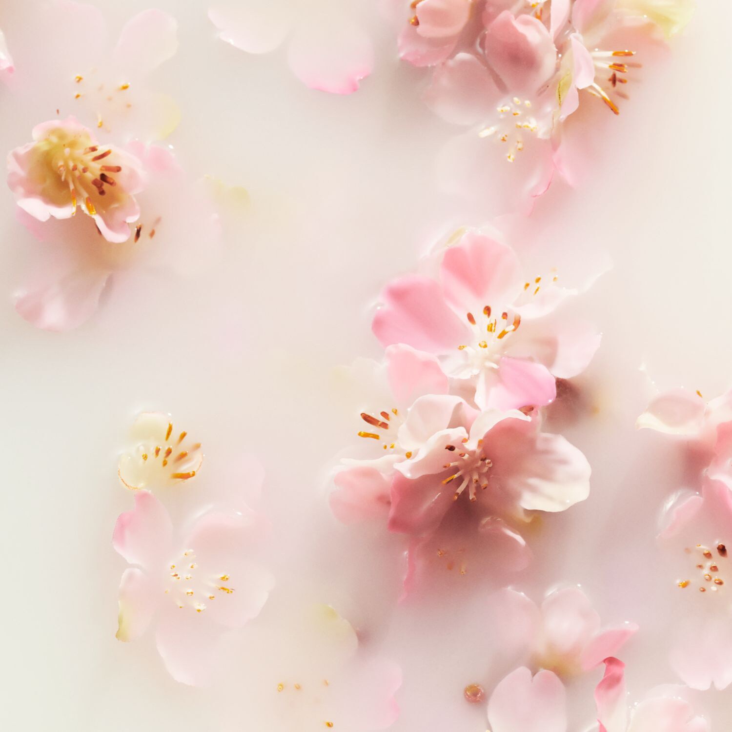 The Ritual of Sakura - Brume Corps et Cheveux de RITUALS ≡ SEPHORA