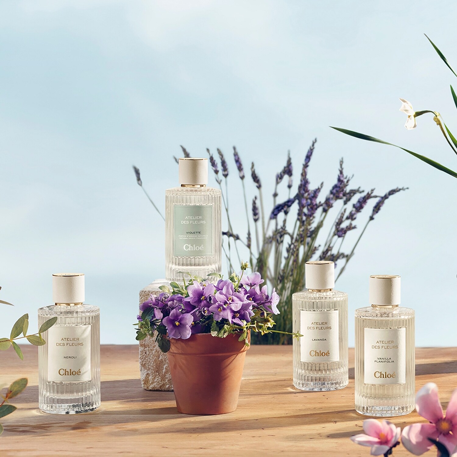 Chloé Atelier des Fleurs Violette - Eau de Parfum de CHLOÉ ≡ SEPHORA