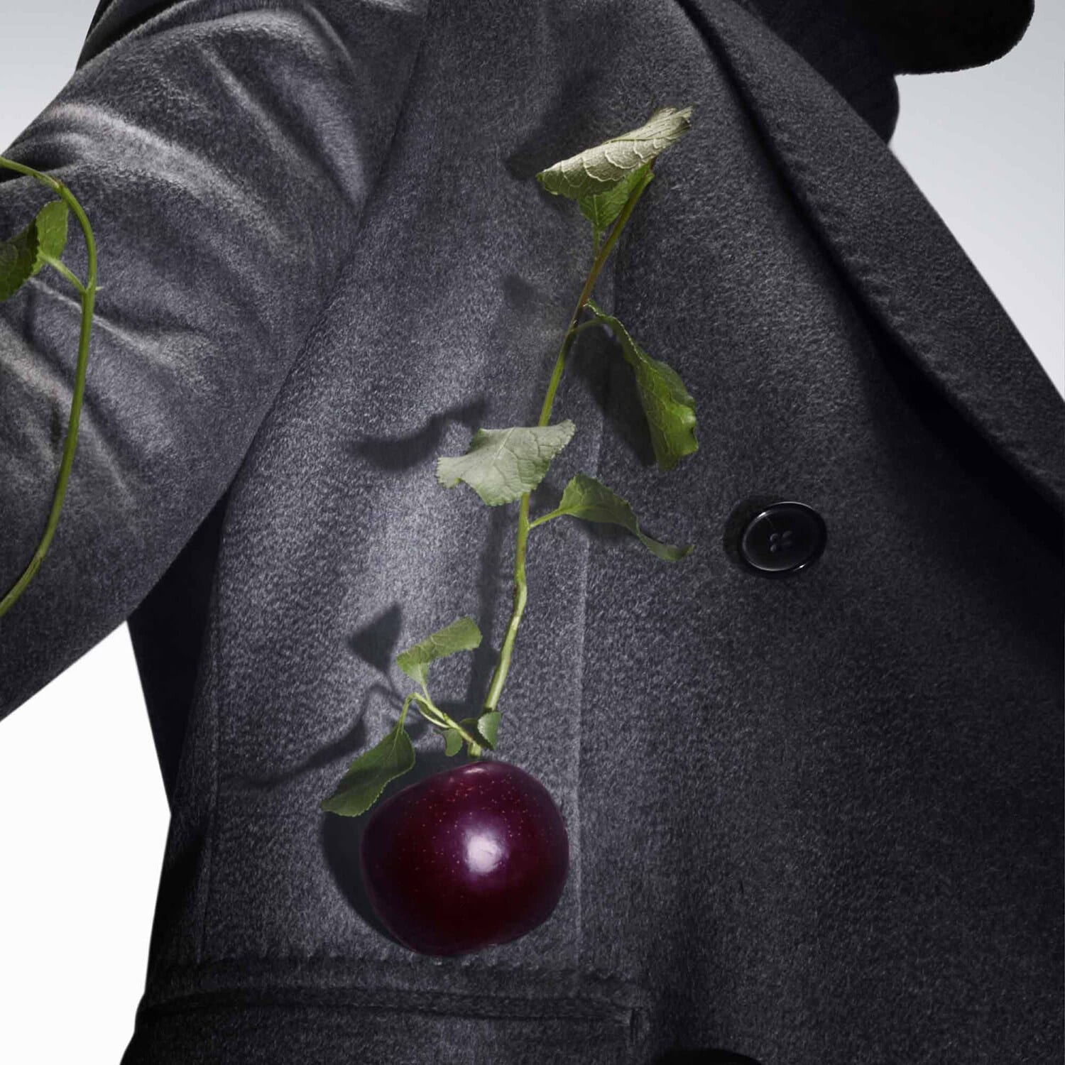 BOSS The Collection Bold Incense - Eau de Parfum de HUGO BOSS ≡ SEPHORA