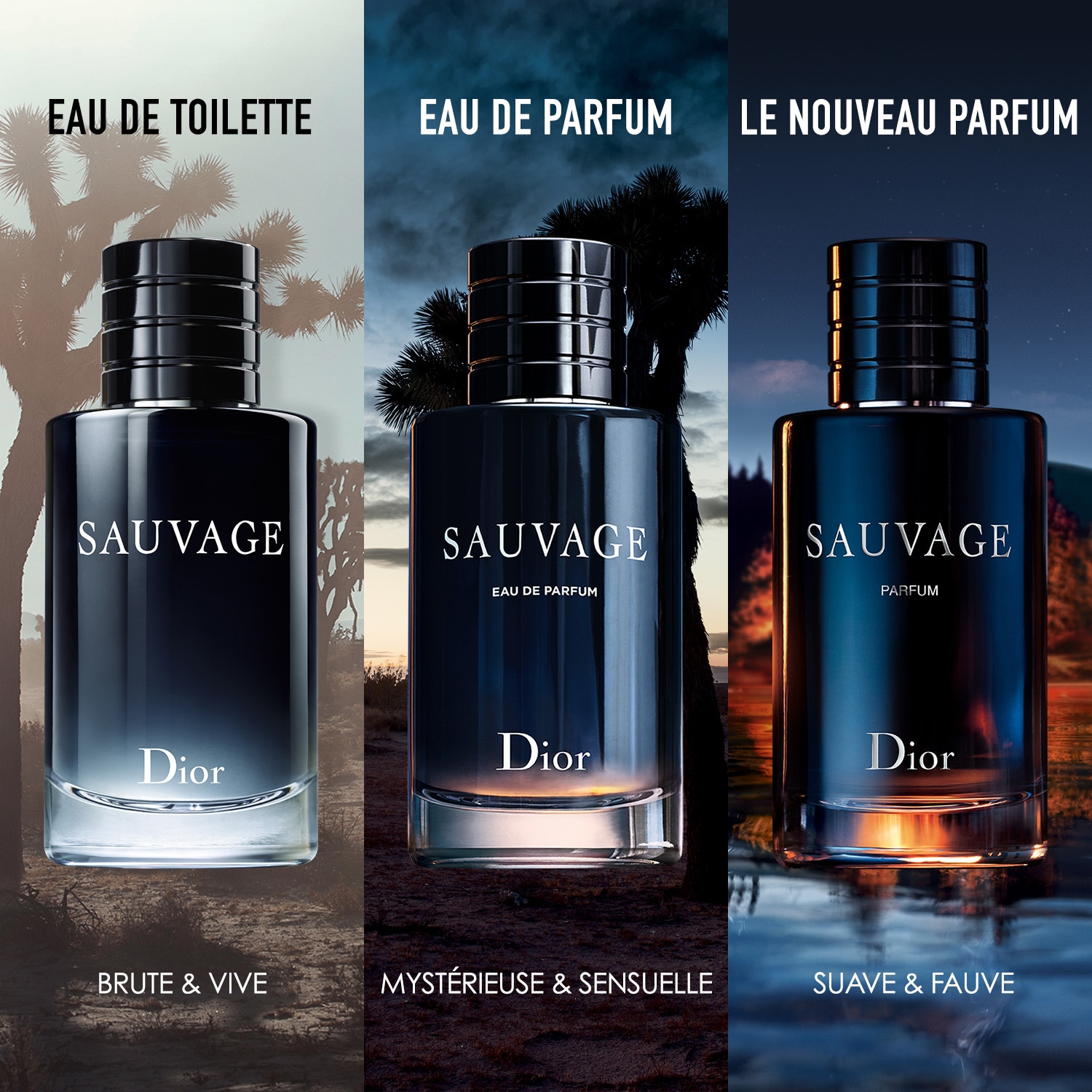 Sauvage - Parfum de DIOR ≡ SEPHORA