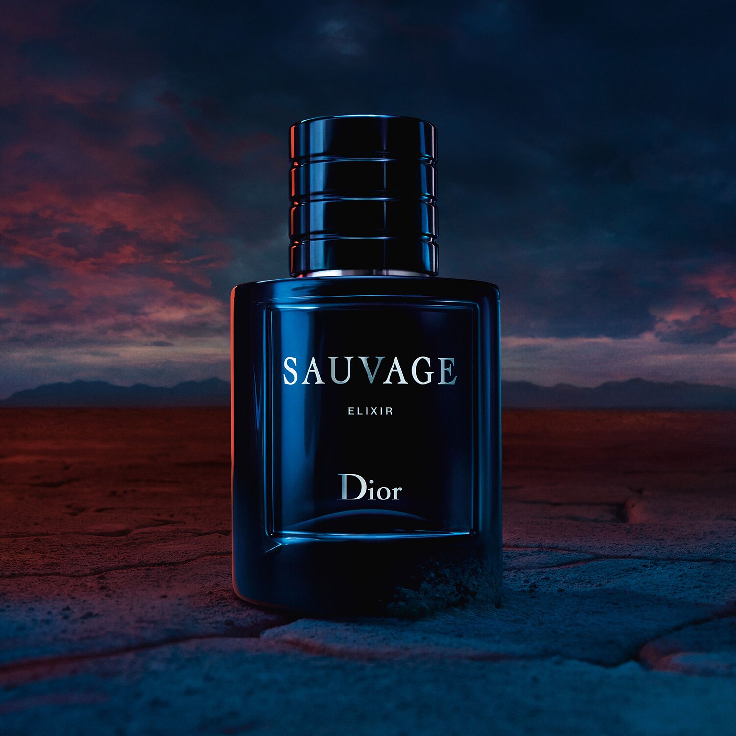 Sauvage Elixir - Parfum pour homme - Notes agrumes, épices & bois de ...