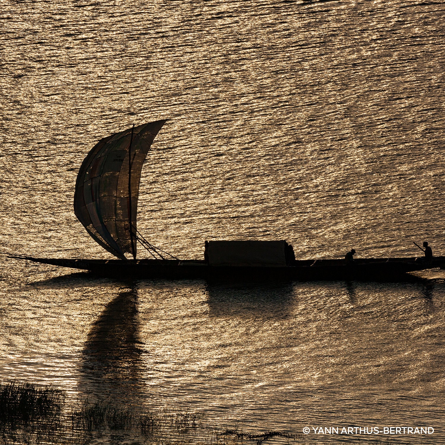 Absolus Allegoria - Cuir Intense - Eau de Parfum de GUERLAIN ≡ SEPHORA