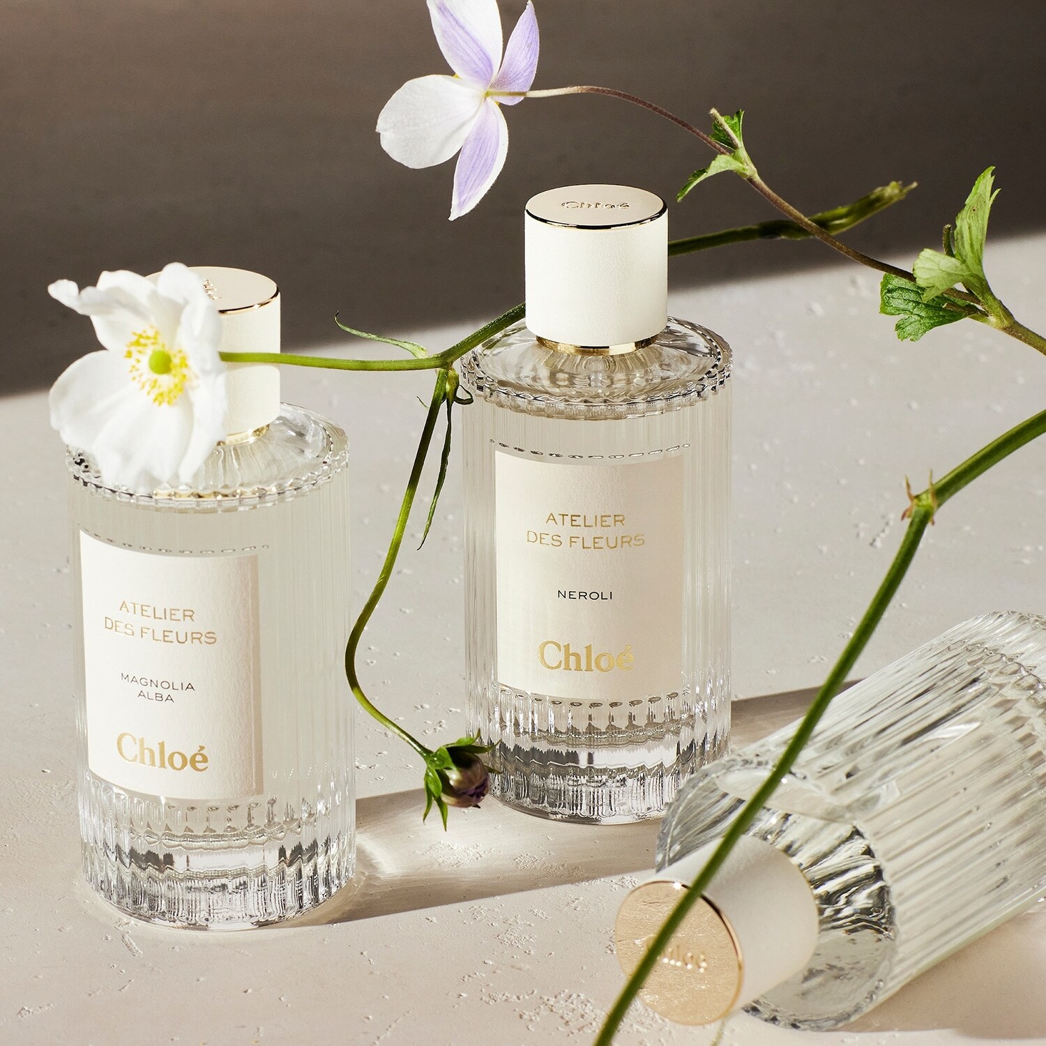 Atelier des Fleurs Néroli - Eau de Parfum de CHLOÉ ≡ SEPHORA