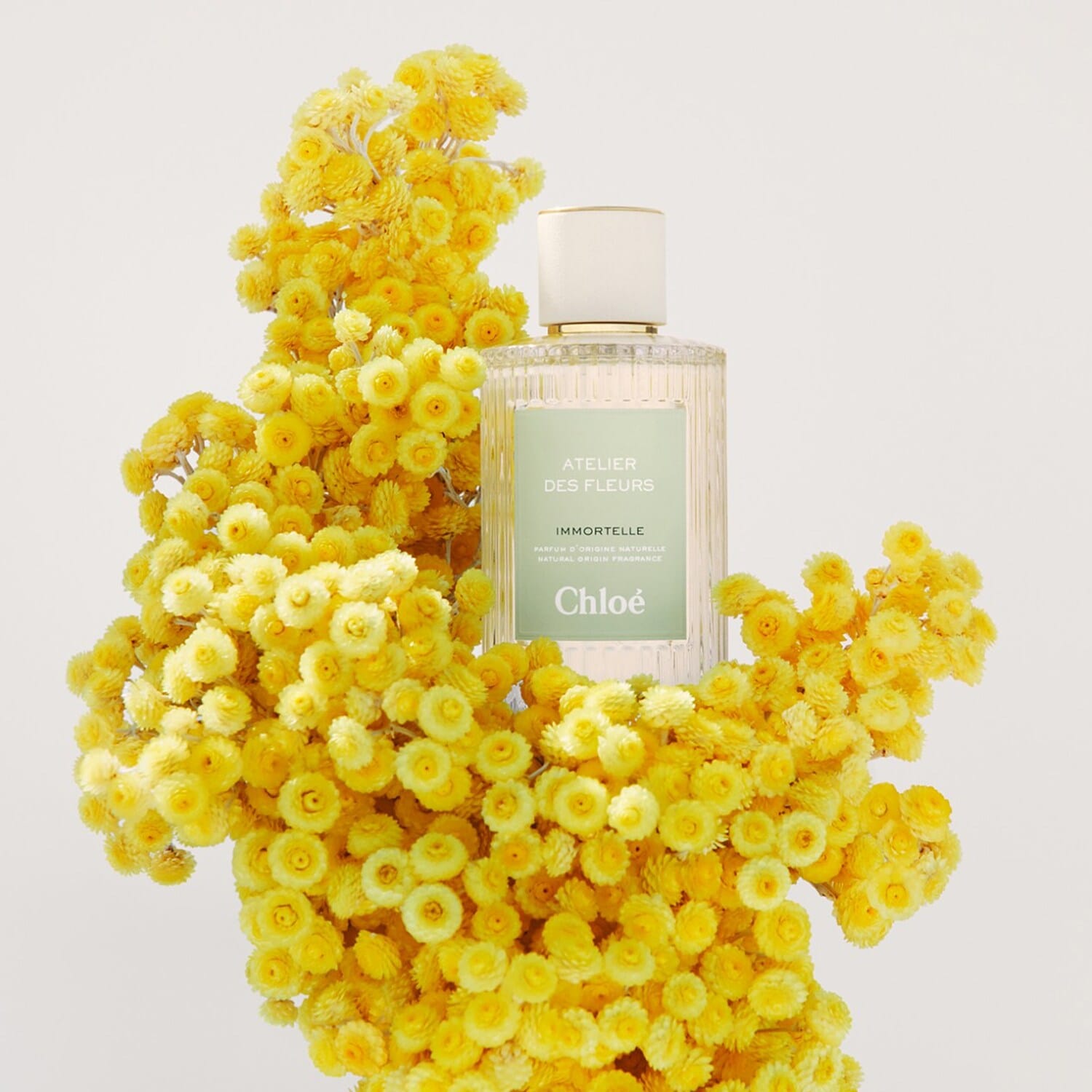 Atelier des Fleurs Immortelle - Eau de Parfum de CHLOÉ ≡ SEPHORA