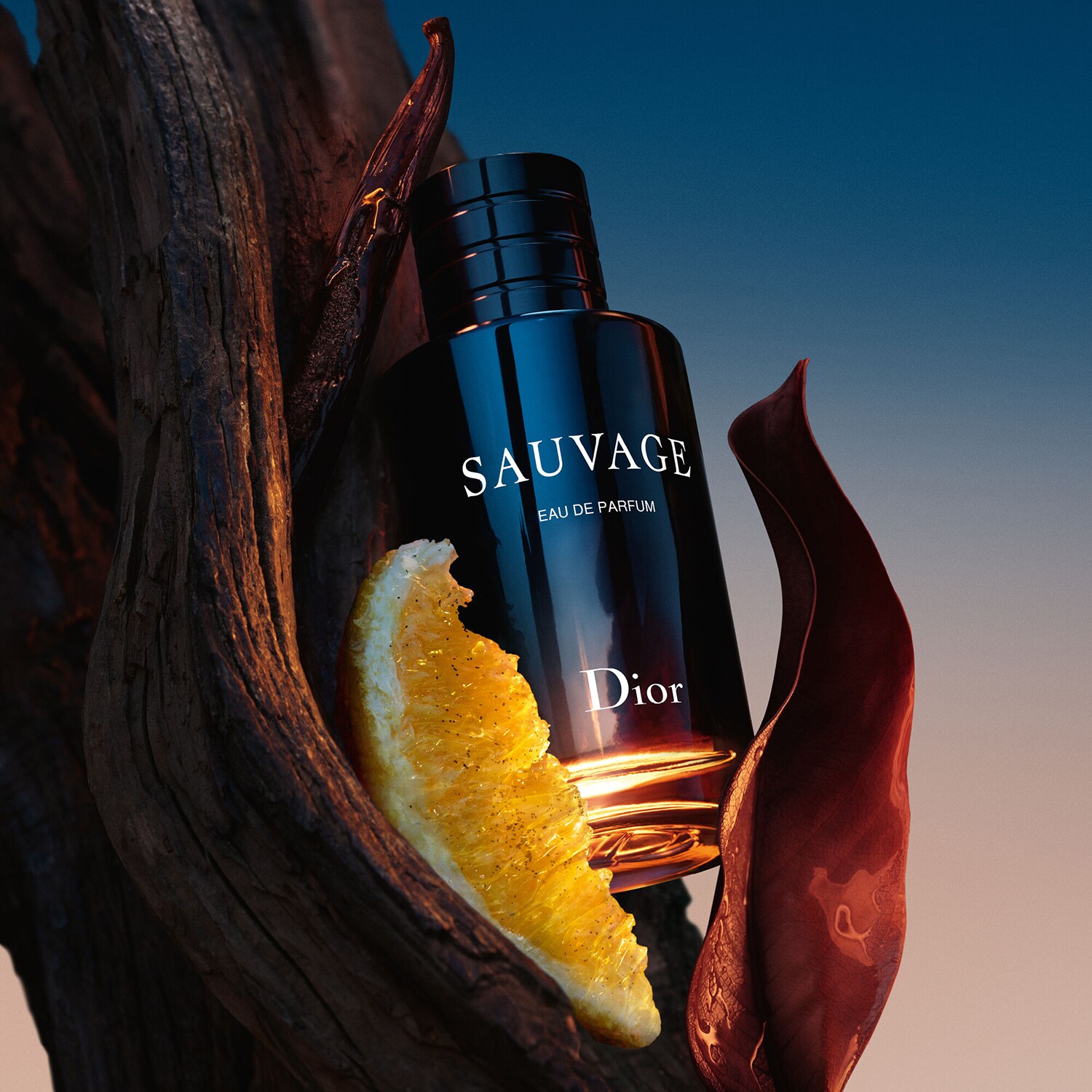 Sauvage - Eau de parfum pour homme notes épicées et d'absolu vanille de ...