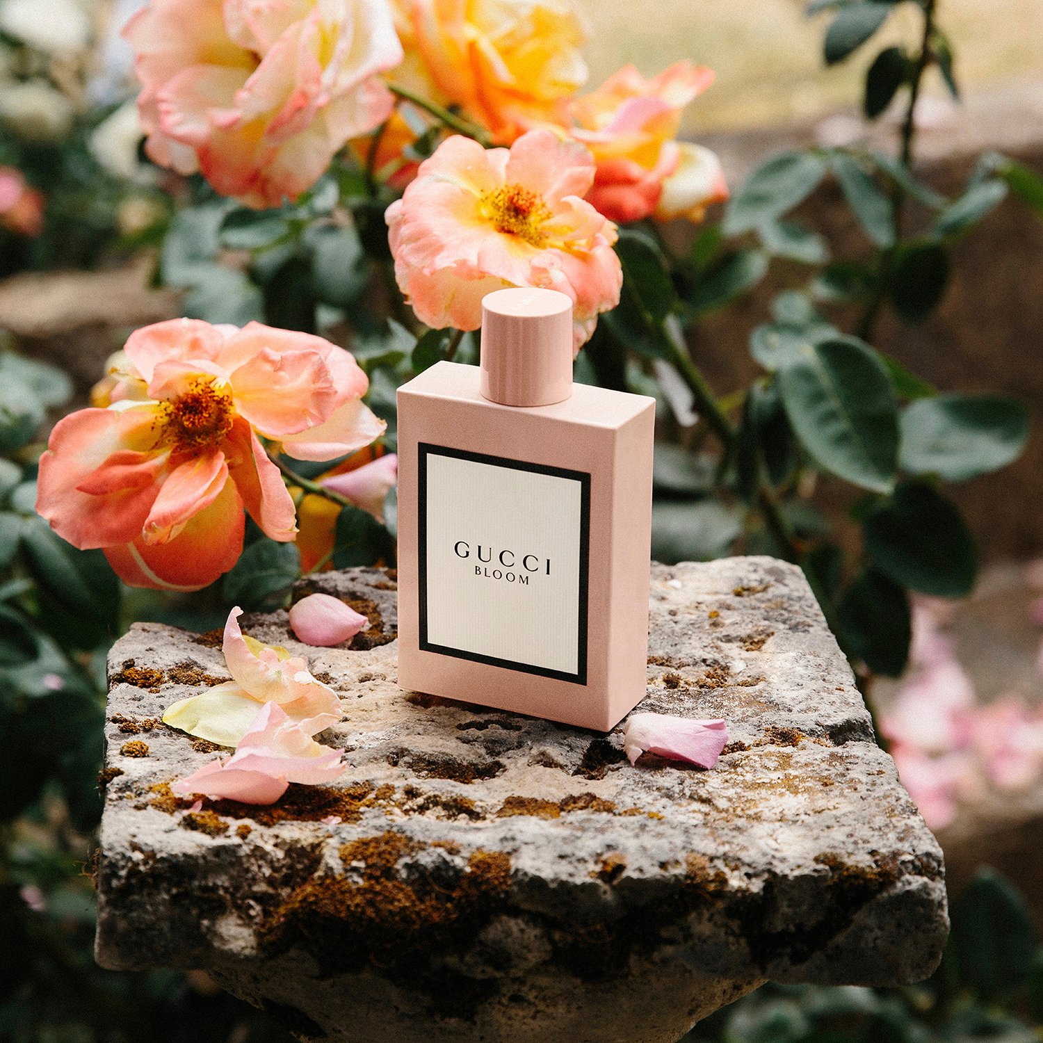 Gucci Bloom - Eau de Parfum de GUCCI ≡ SEPHORA