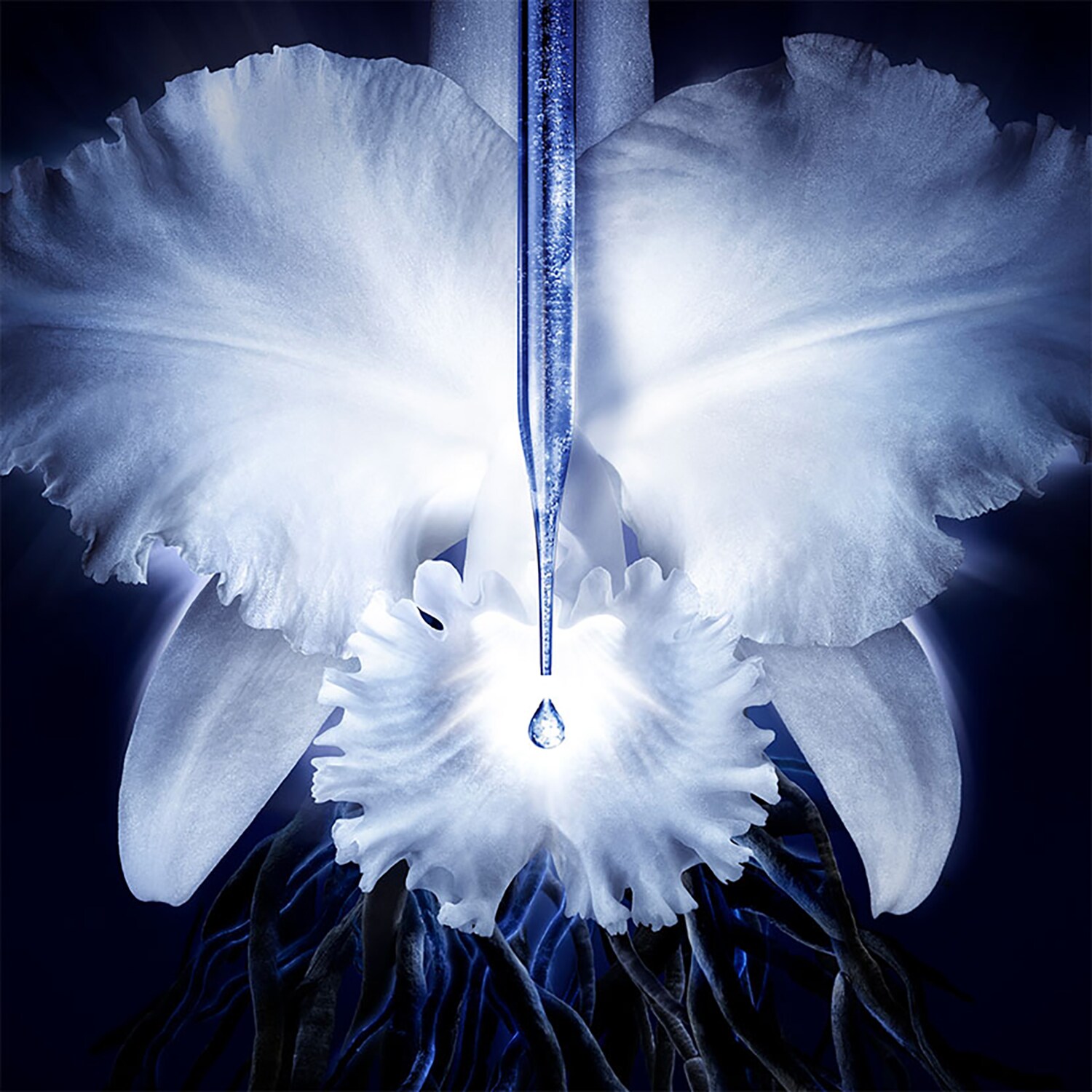 Orchidée Impériale - Le Concentré De Longévité de GUERLAIN ≡ SEPHORA