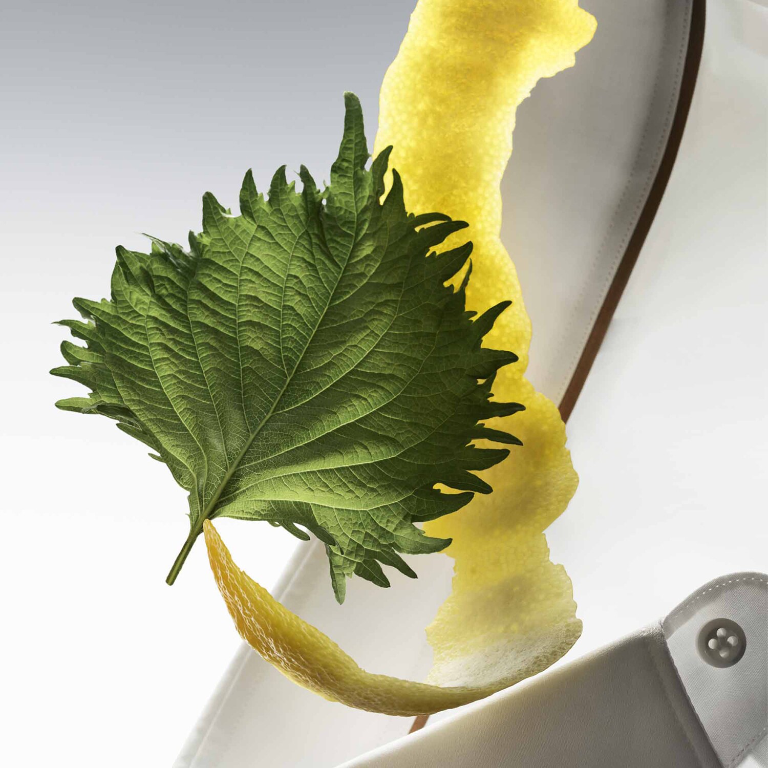 Boss The Collection Vigorous Cologne - Eau de Parfum de HUGO BOSS ≡ SEPHORA