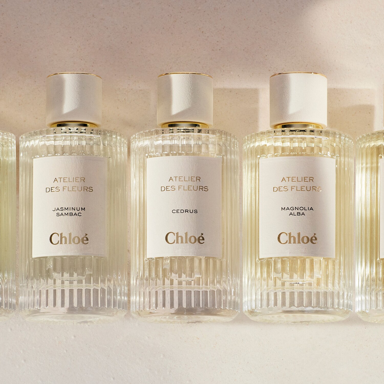 Atelier des Fleurs Immortelle - Eau de Parfum de CHLOÉ ≡ SEPHORA